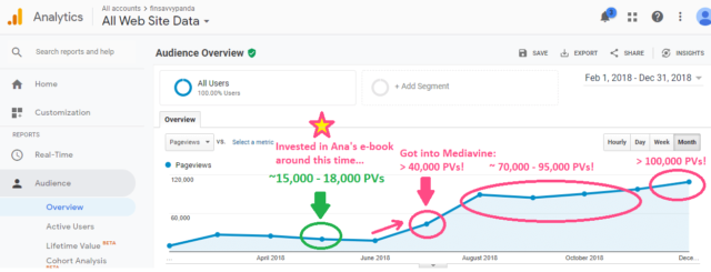 How To Make Money Blogging For Beginners - Finsavvy Panda